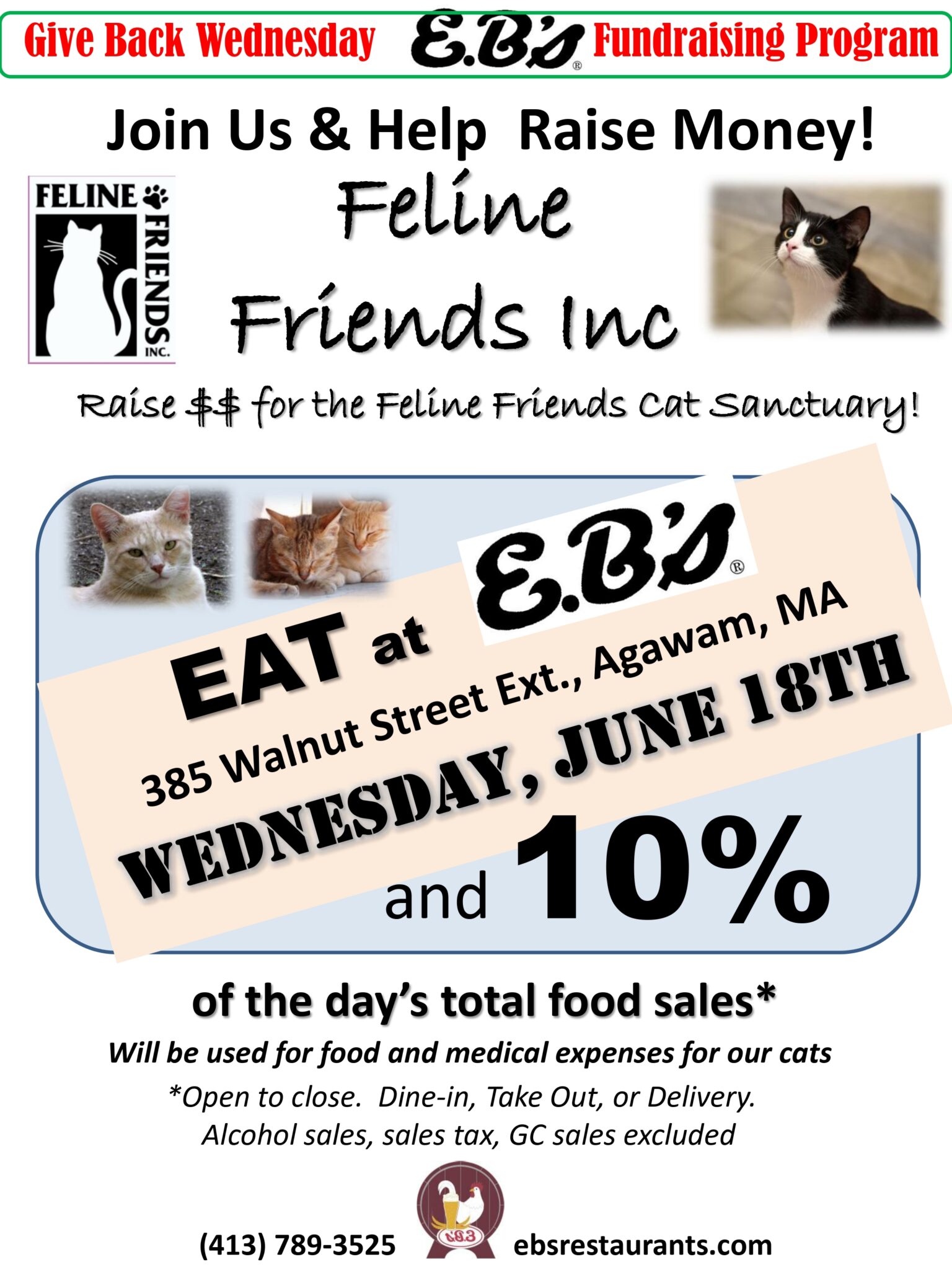 Feline Friends Inc